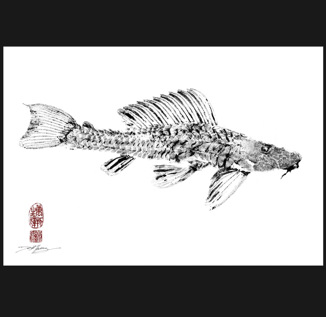 Amazon River Plecostomus PLECO CATFISH Gyotaku Print - Traditional ...