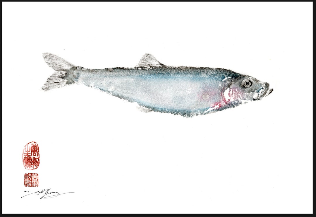 Herring - Sardine - Gyotaku Reproduction Print - Traditional Fish Art ...