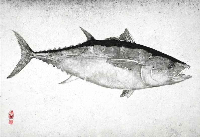 BLUEFIN TUNA hon Maguro GYOTAKU Print Traditional - Etsy