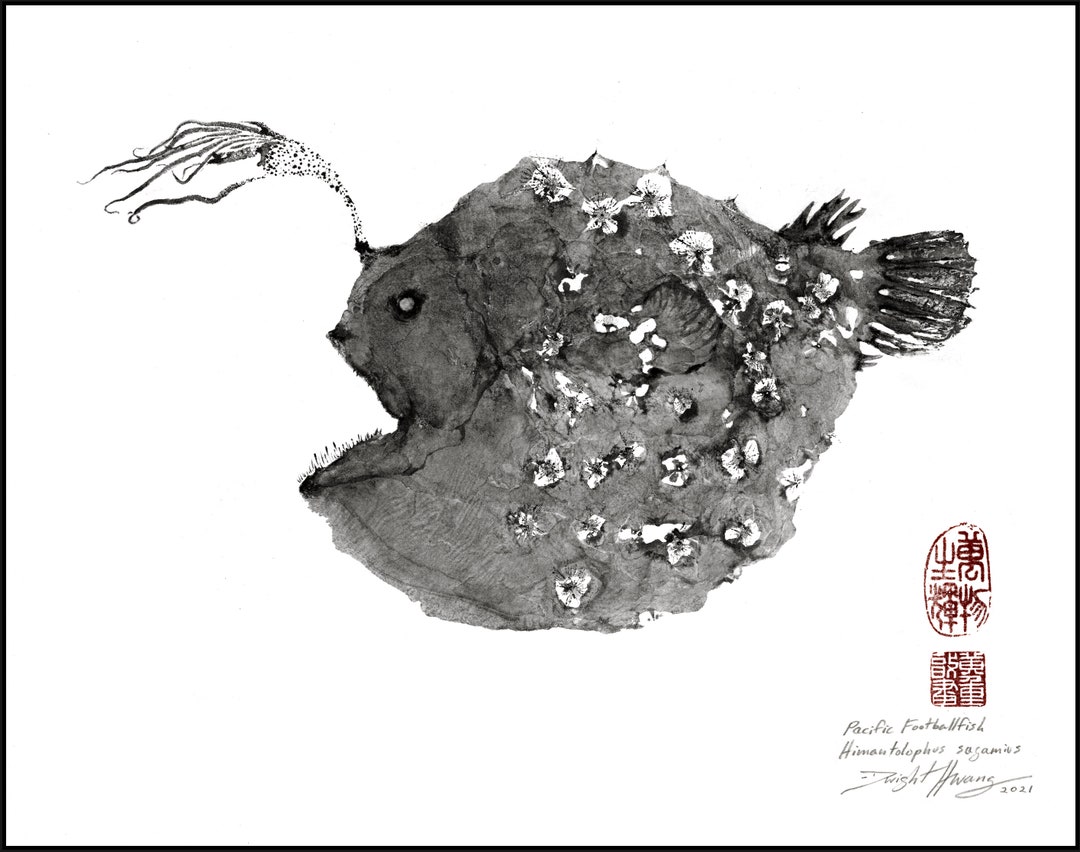 Anglerfish - Pacific Football Fish - Reproduction GYOTAKU Print ...