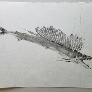 Lancetfish - Deep Water Serpent - Reproduction GYOTAKU Print ...