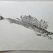 Lancetfish - Deep Water Serpent - Reproduction GYOTAKU Print ...
