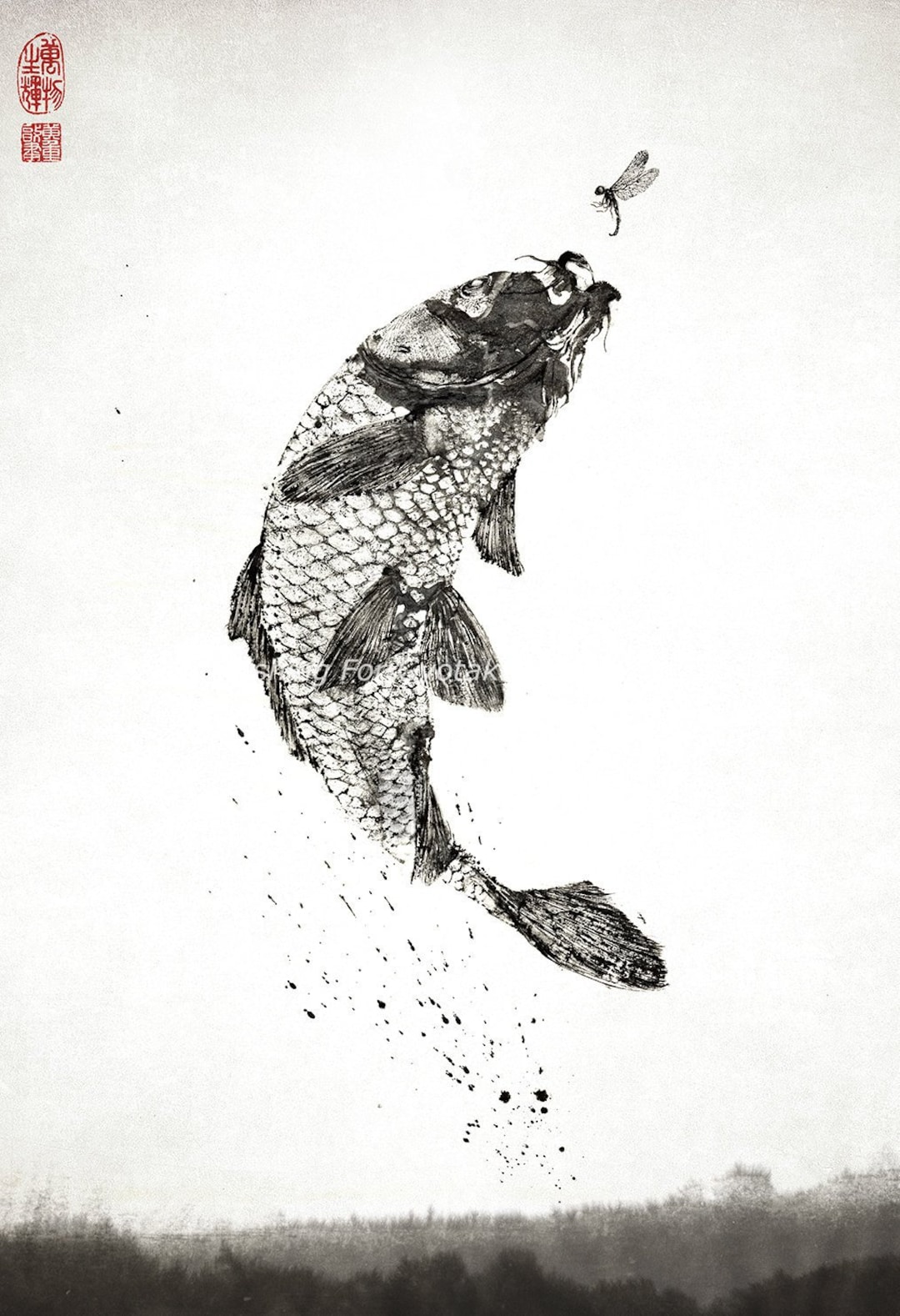 CELESTIAL KOI - Underside of Japanese Koi Leaping at Dragonfly ...