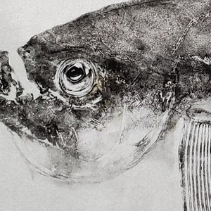 Duo of OPAH or MOONFISH (akamanbo in Japanese) - GYOTAKU Print ...