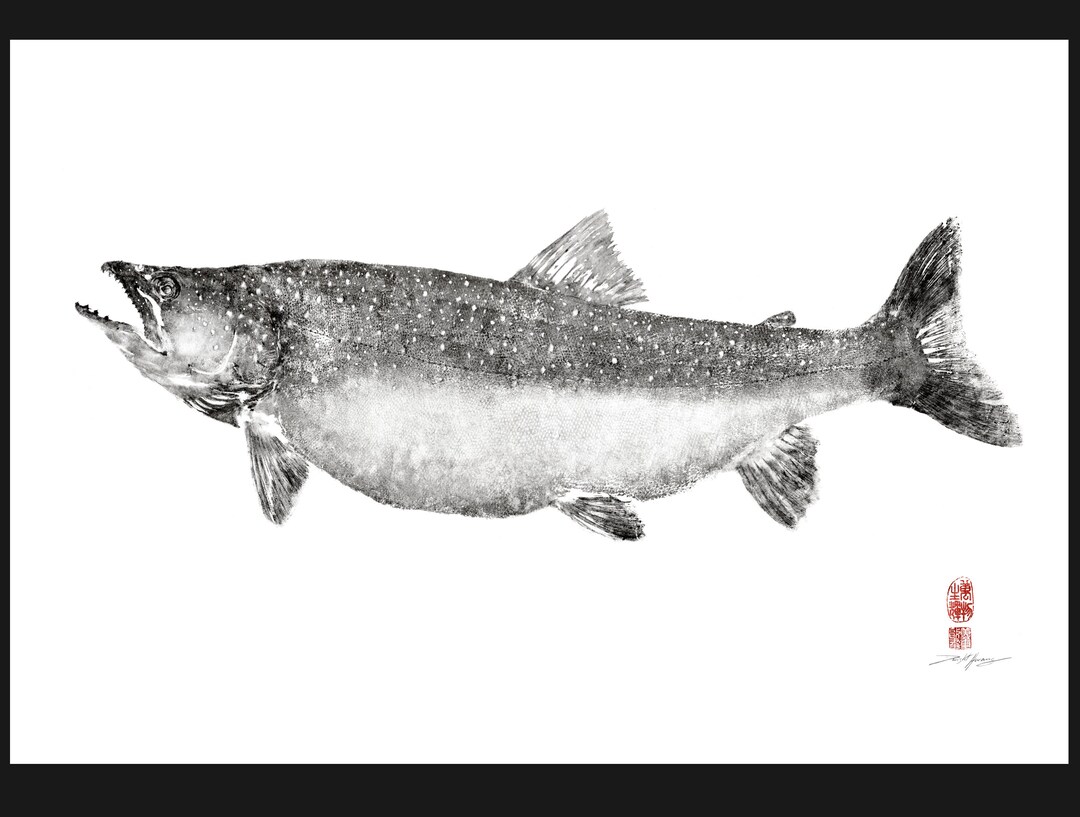 LAKE TROUT Gyotaku Reproduction Print - Traditional Japanese Fish Art ...