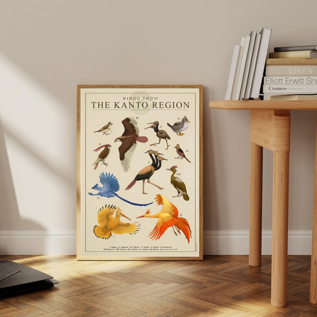 Birds of Kanto Poster, Vintage Poster, Animal Wall Art, Wall Decor - Etsy