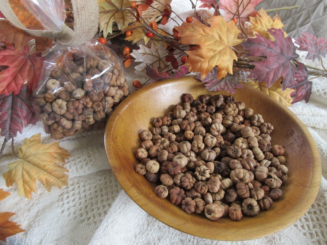 Putka Pods Natural Unscented - Natural Botanical - Bowl Filler - Fall ...