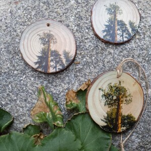 Sequoia Tree Wood Slice Ornament - Rustic Decor - Home Decor ...