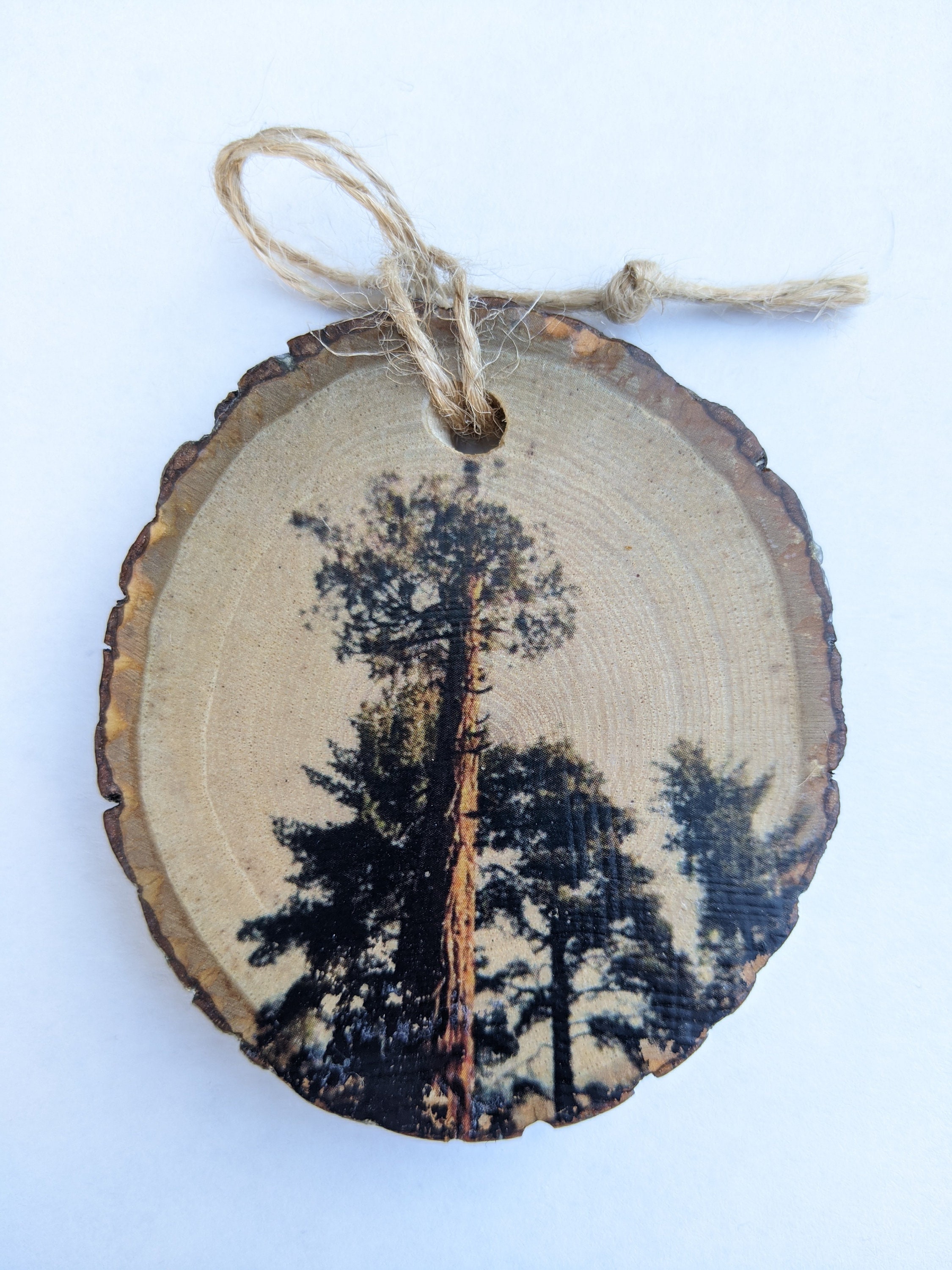 Sequoia Tree Wood Slice Ornament - Rustic Decor - Home Decor ...
