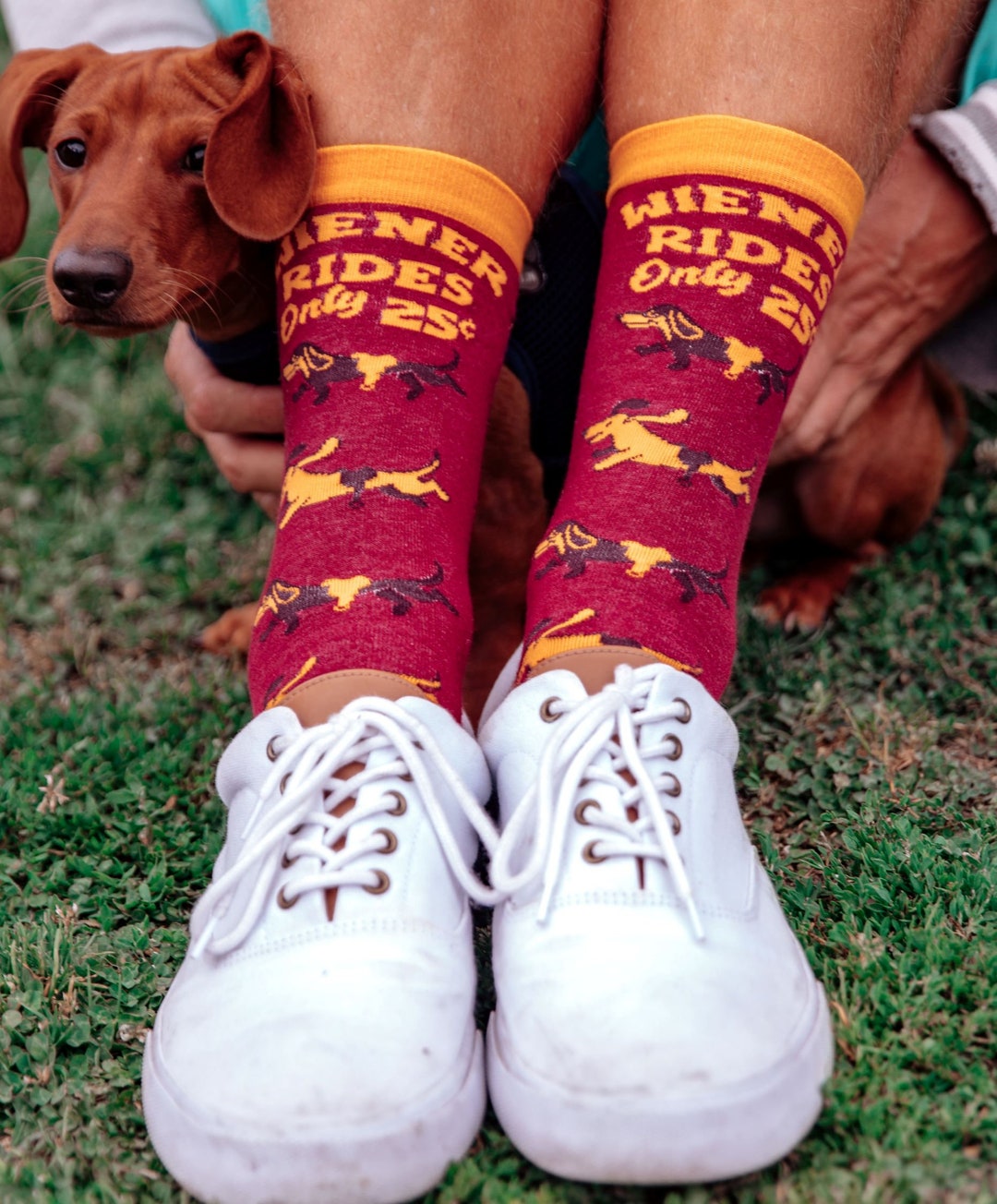 Weiner Rides 25c Dog Dad Socks Dog Socks Funny Socks Funny - Etsy UK