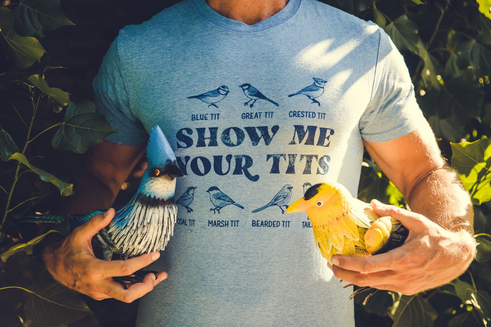 Funny Bird Watcher T-shirt, Tit Bird Types, Innuendo Shirt - Etsy