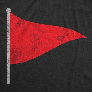 Red Flag Shirt, I'm A Red Flag Shirt, Funny Womens Valentines Day ...