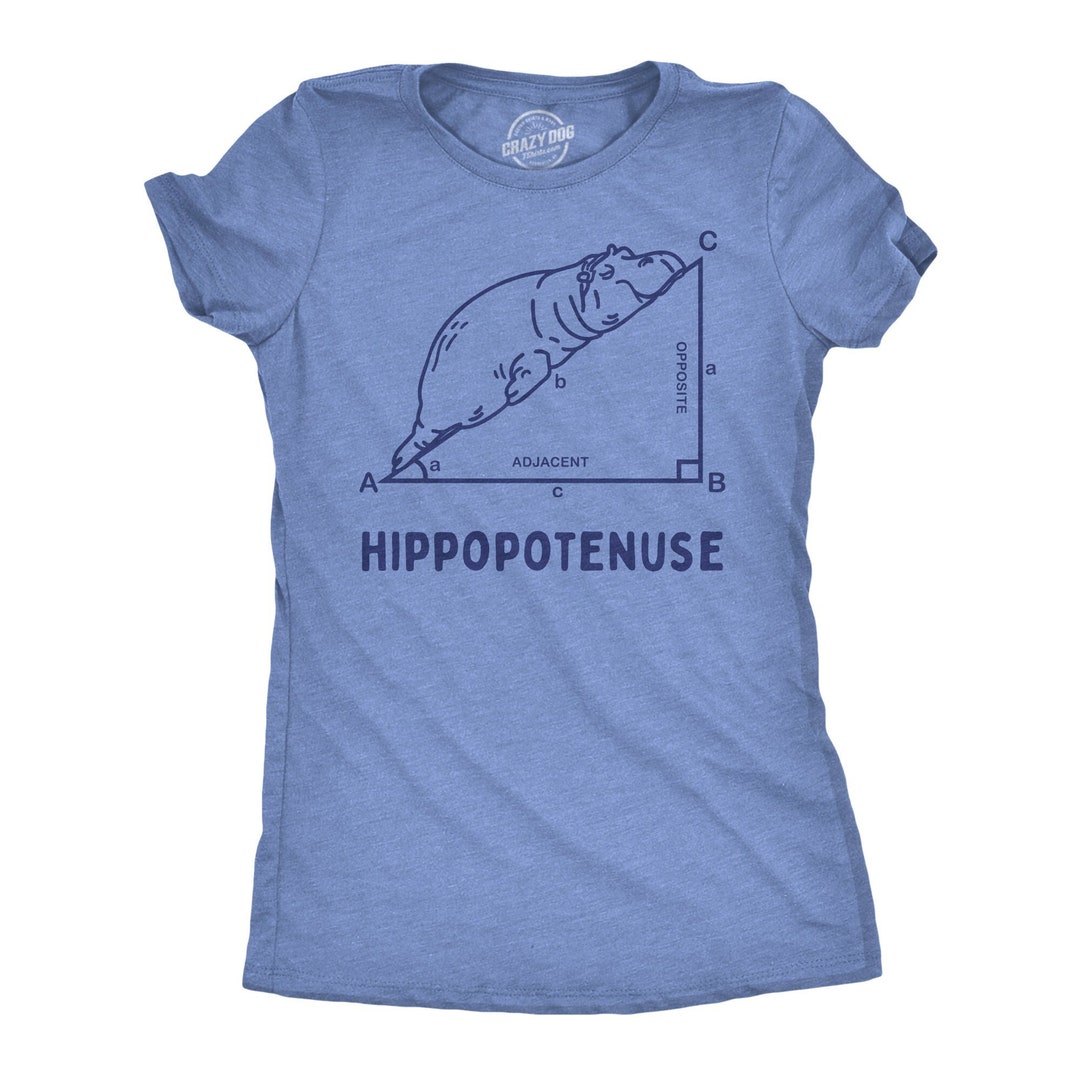 Hippopotenuse, Hypotenuse, Pythagorean Theorem, Teacher Jokes, Geeky ...