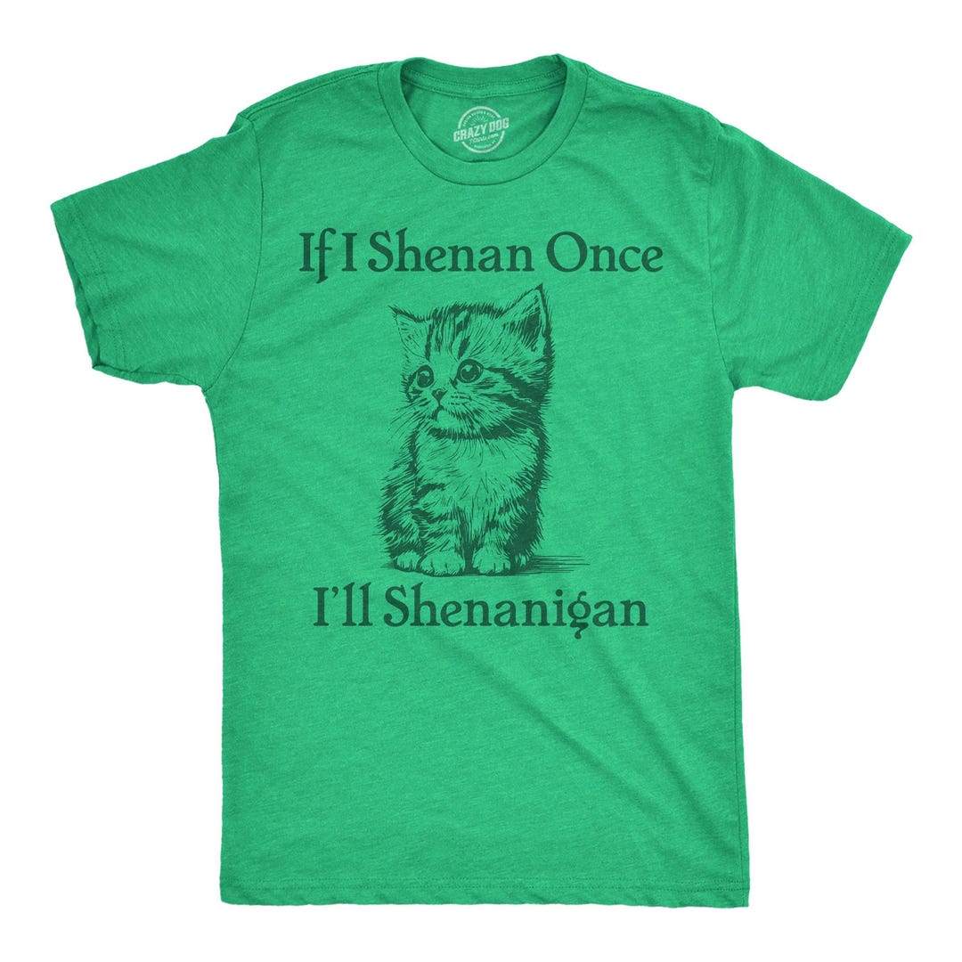 If I Shenan Once, I'll Shenanigan, St Patricks Day Shirt, Shenanigans ...