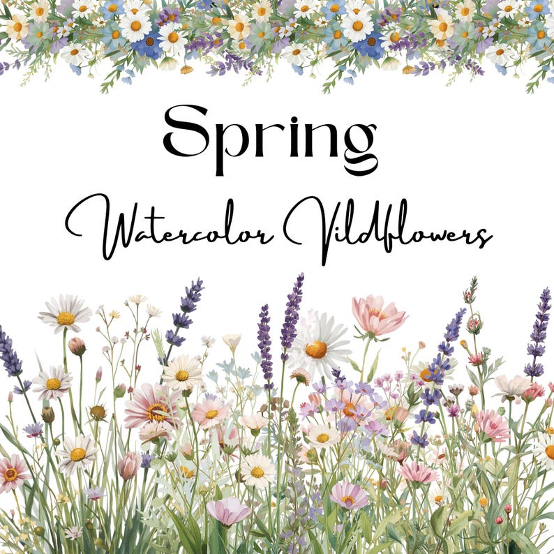 Spring Botanical Watercolor Clipart Set, Wildflower PNG Graphics for ...