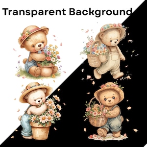 Watercolor Teddy Bear Clipart | Boho Neutral Baby Bear PNG Graphics (30 ...