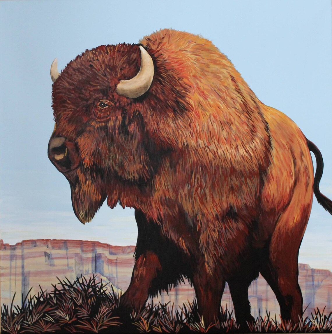 Great Big Buffalo, Original Painting, 42 X 42 Inches, - Etsy
