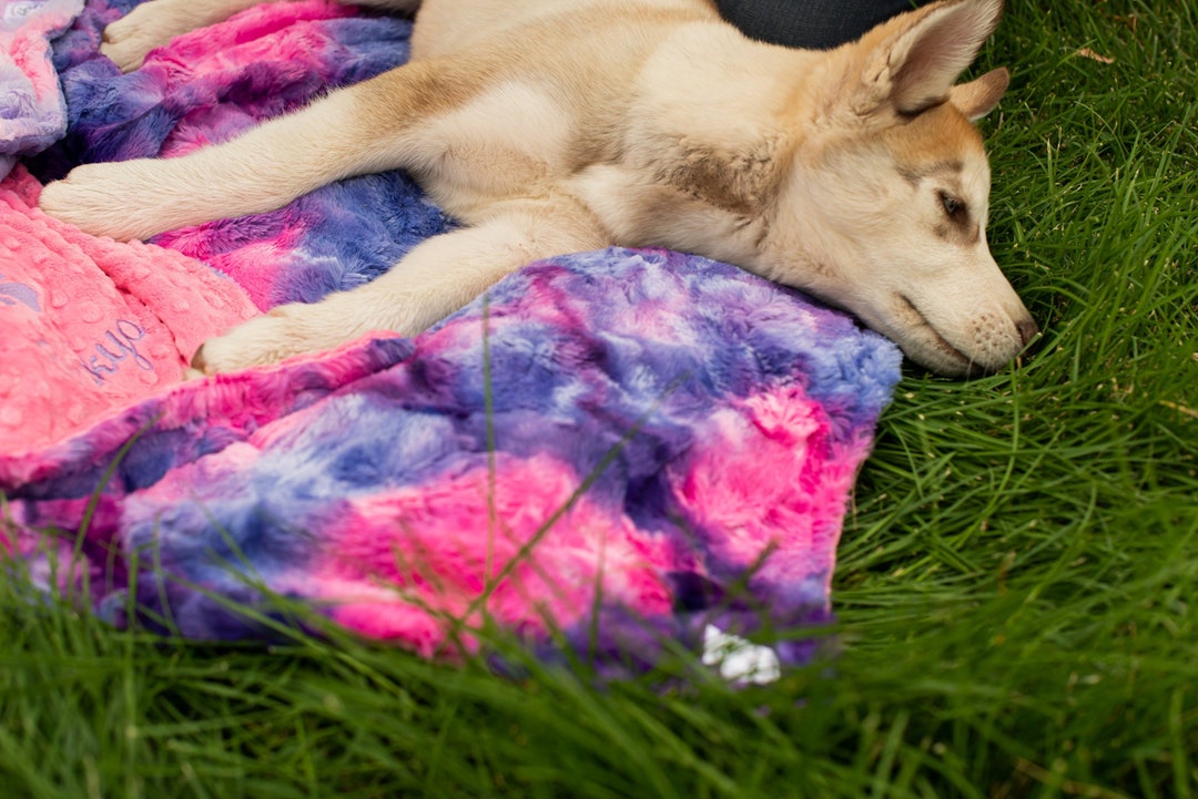 Personalized Razzle Dazzle Sorbet Dog Blanket, Pink Tie Dye Paw Print ...