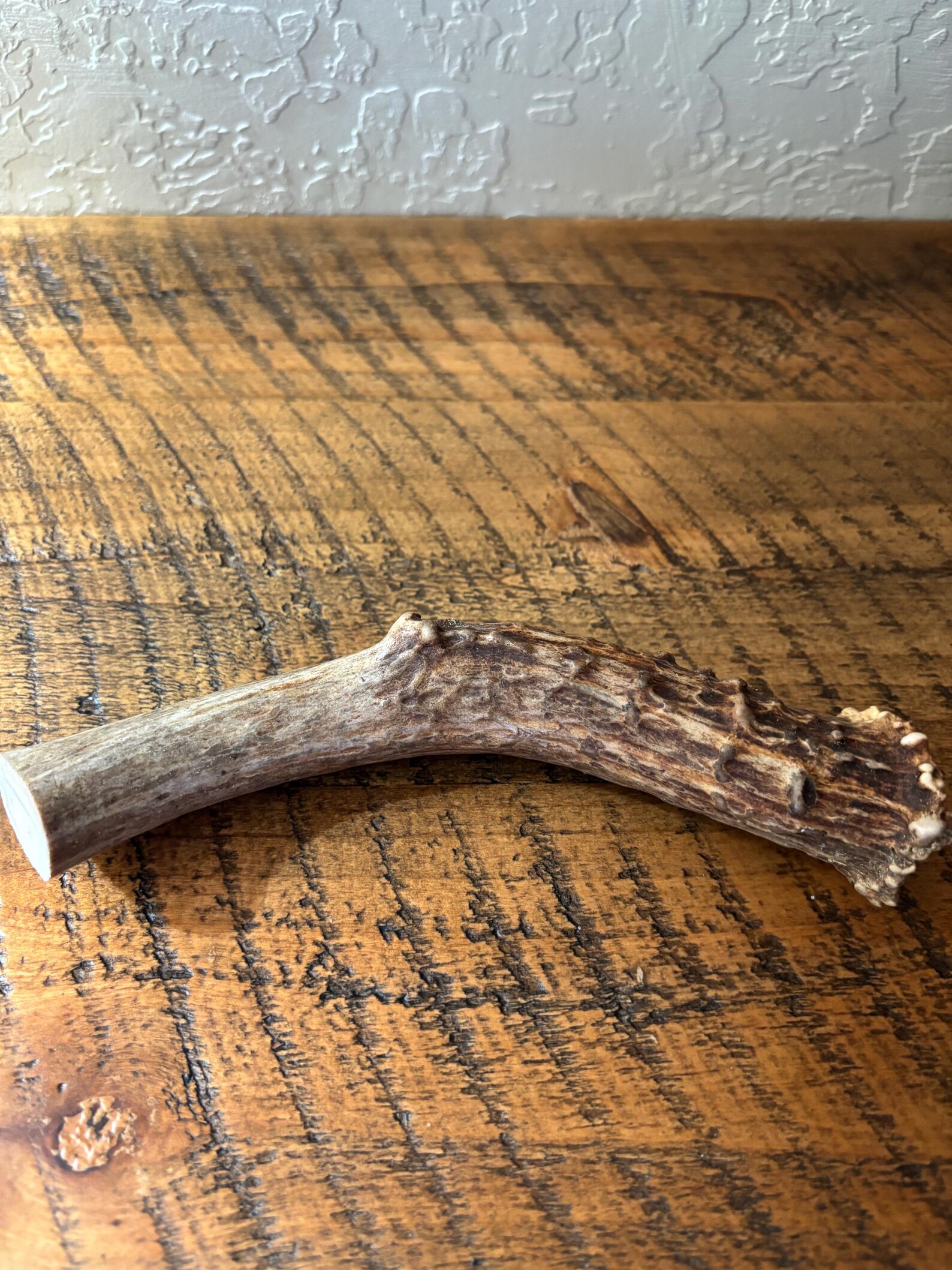 Whitetail Deer Antler Bases, Knife Handle Material, Carving Supplies - Etsy