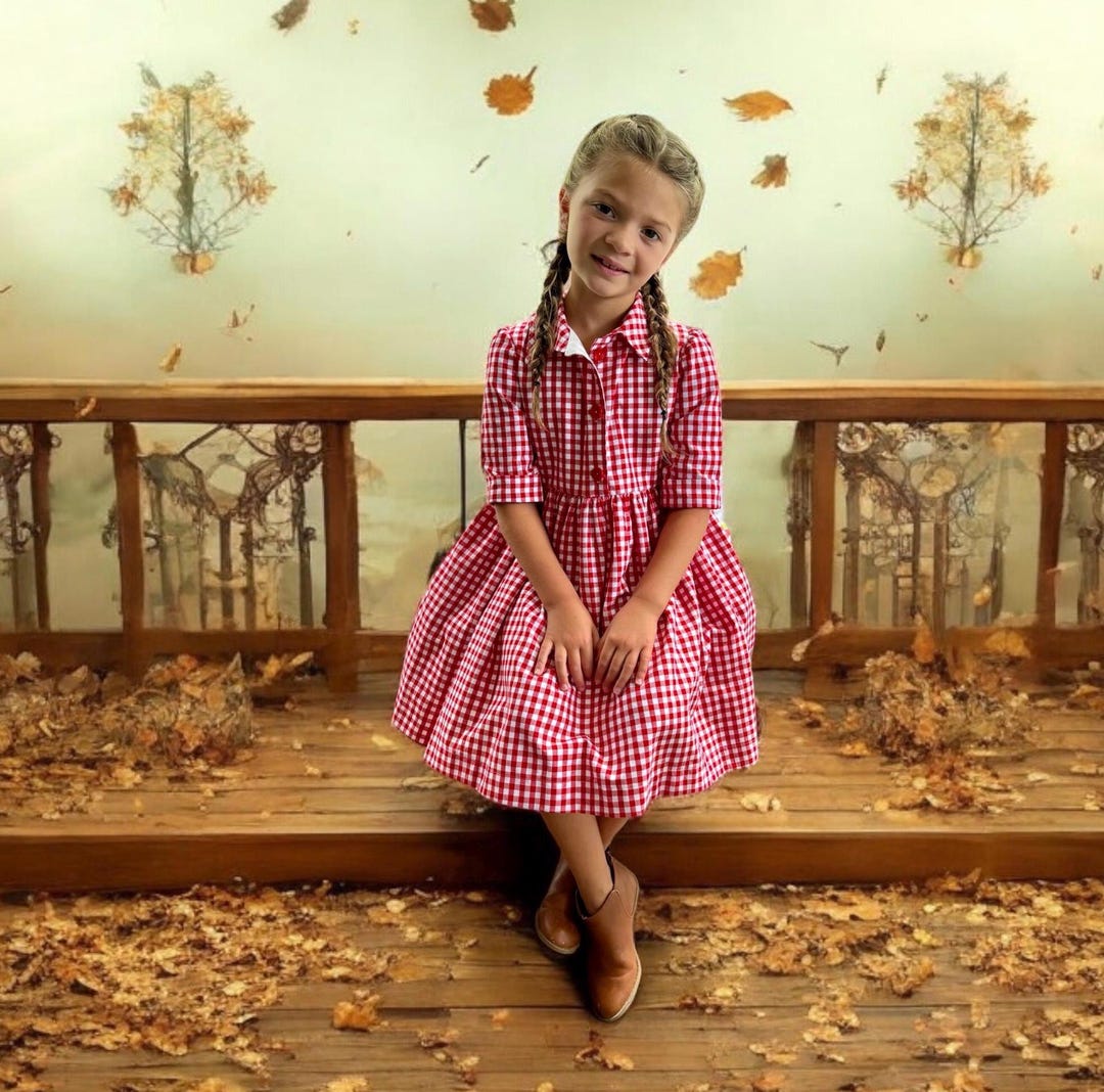 Libby Red Gingham Dress - Etsy