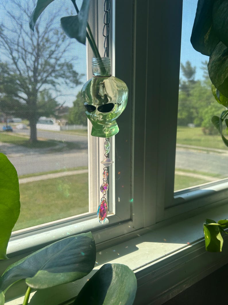 Upcycled Alien Propagation Station, Goth Plant Decor, Hanging Crystal ...
