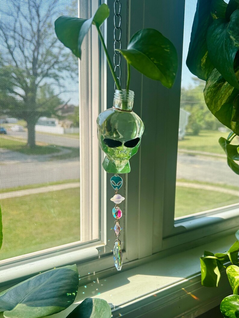 Upcycled Alien Propagation Station, Goth Plant Decor, Hanging Crystal ...