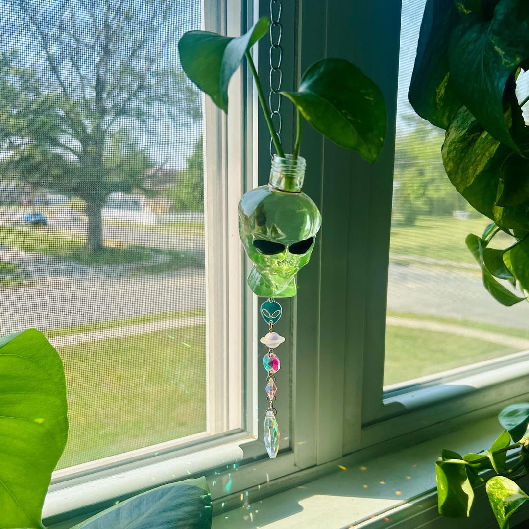 Upcycled Alien Propagation Station, Goth Plant Decor, Hanging Crystal ...