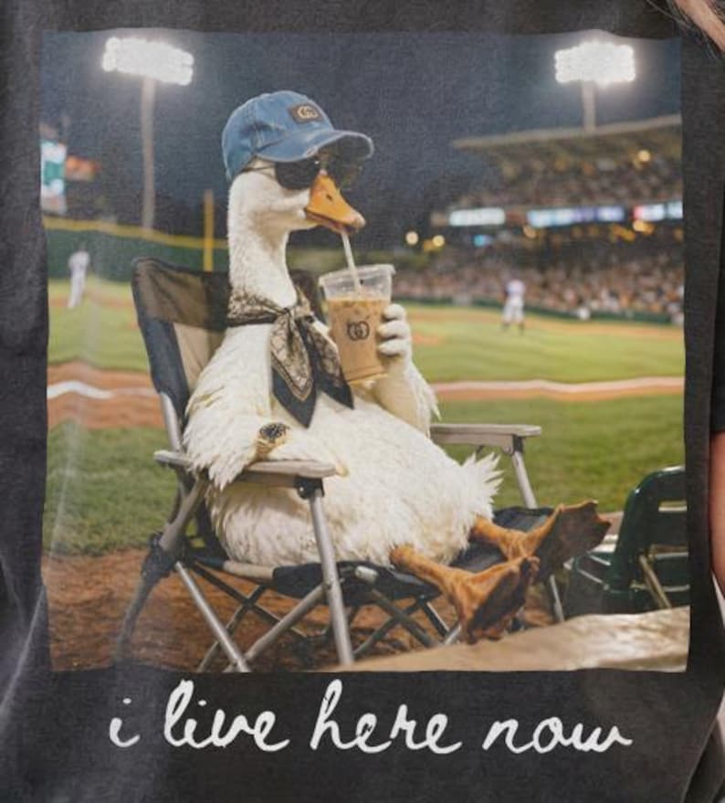 Funny Goose Baseball Coffee PNG, Meme Shirt Design, Vintage Grunge ...