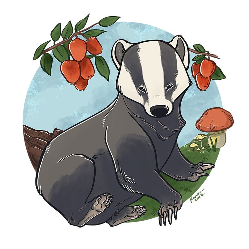 Seasons: Set of 4 Vinyl Stickers! Badger Bat Owl and Sparrow! Cute ...