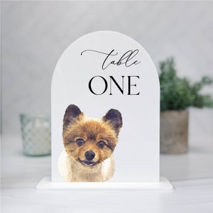 Arched Watercolor Pet Arched Table Numbers, Table Numbers, Acrylic Sign ...