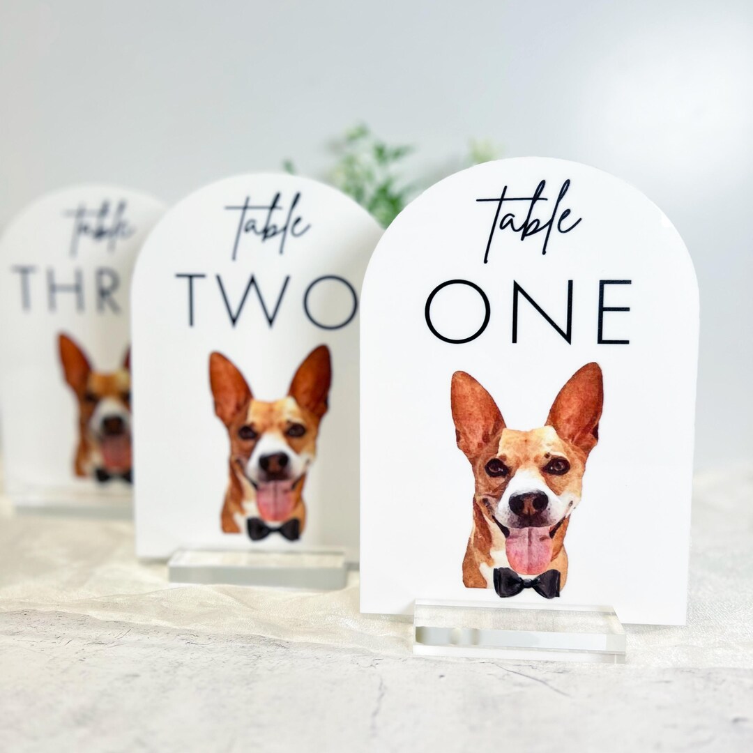 Watercolor Pet Table Numbers: Custom Acrylic Wedding Signs - Etsy