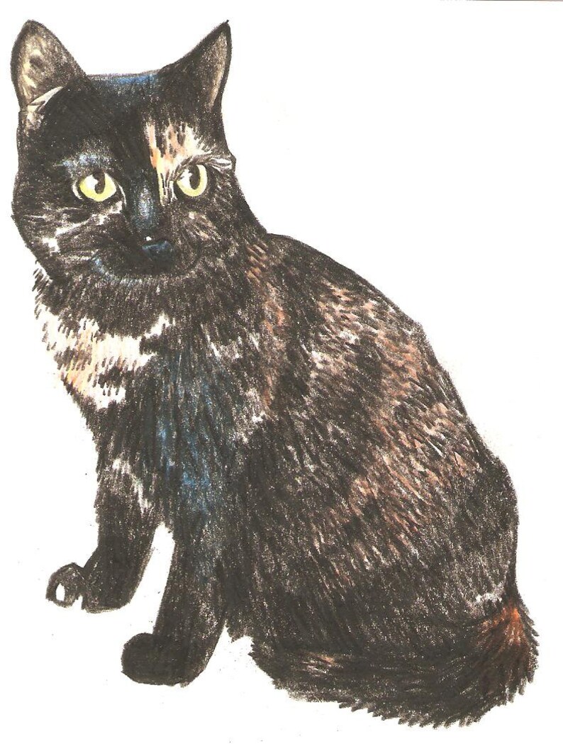 Custom Pet Portrait Hand Drawn Animal Illustration Gift for - Etsy