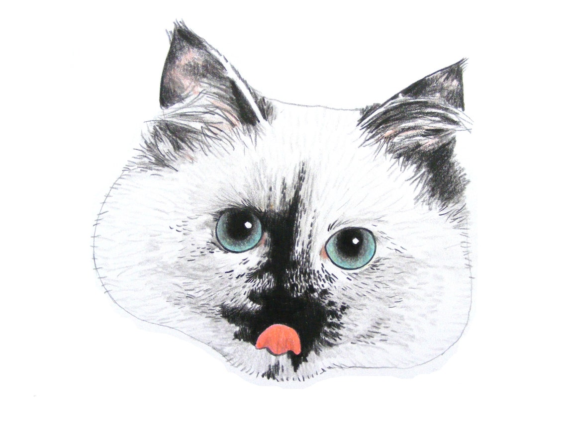 Custom Pet Portrait Hand Drawn Animal Illustration Gift for - Etsy