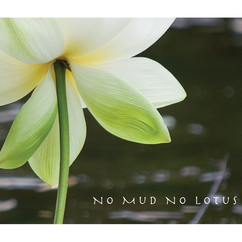 No Mud No Lotus - Etsy