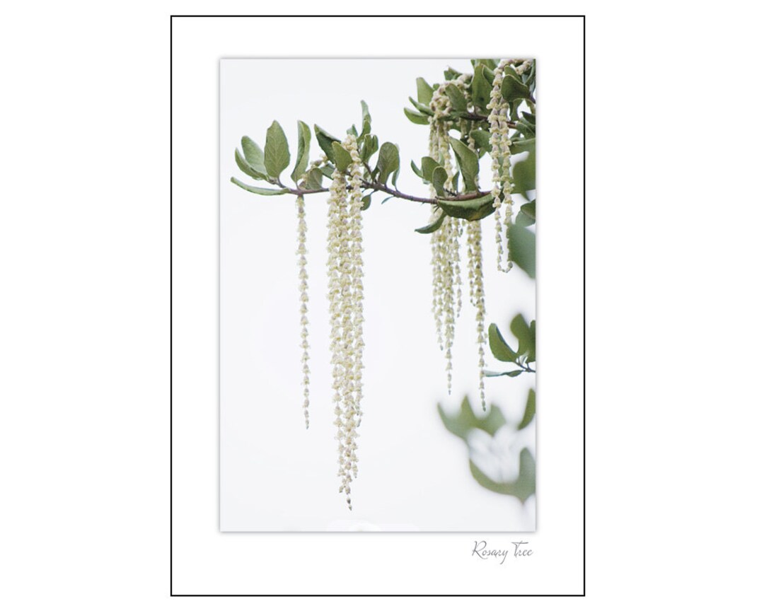 Rosary Tree - Etsy