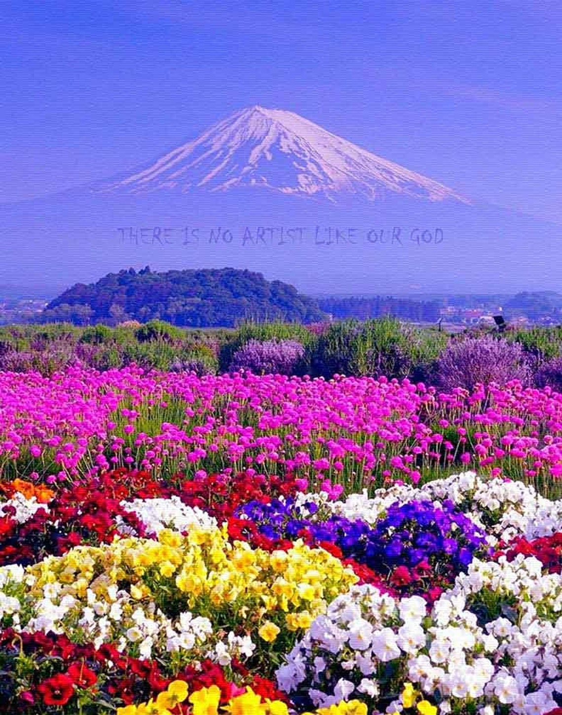 Nature Beautiful Good Morning Canvas Print - Etsy