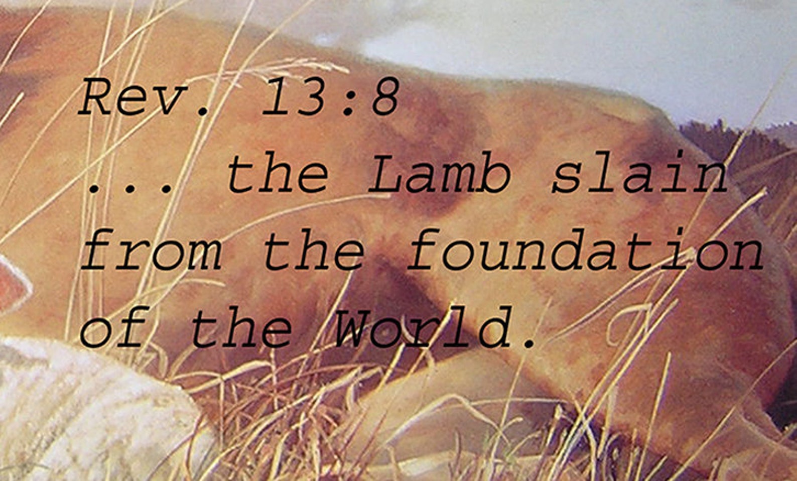 Lamb and Lion Christian Bible Verse - Etsy