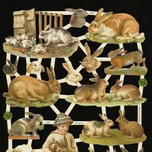 German Embossed Vintage Style Scrap Die Cut Relief - Animal / Bunny ...