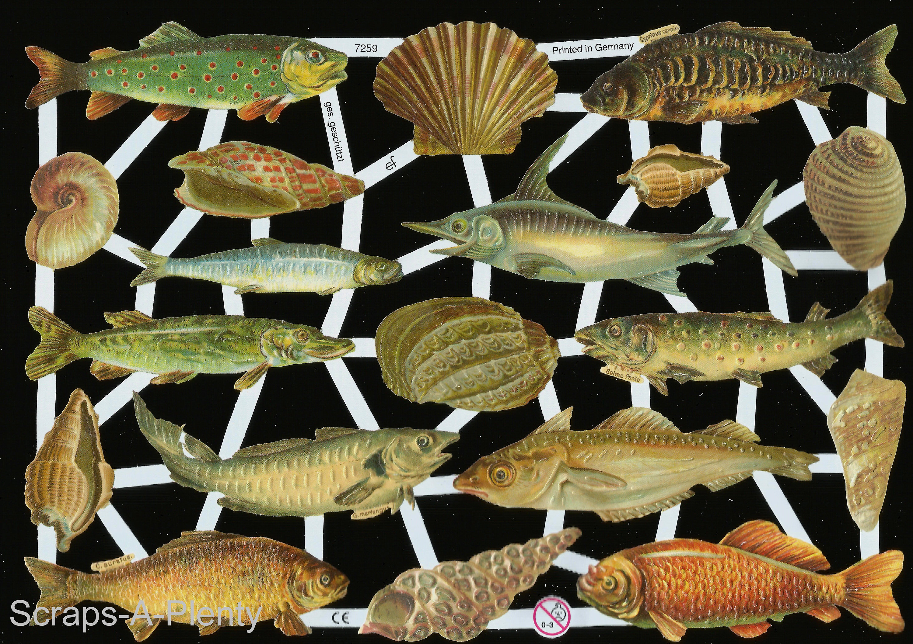 German Embossed Vintage Style Scrap Die Cut - Fish & Shells NICE EF7259 ...