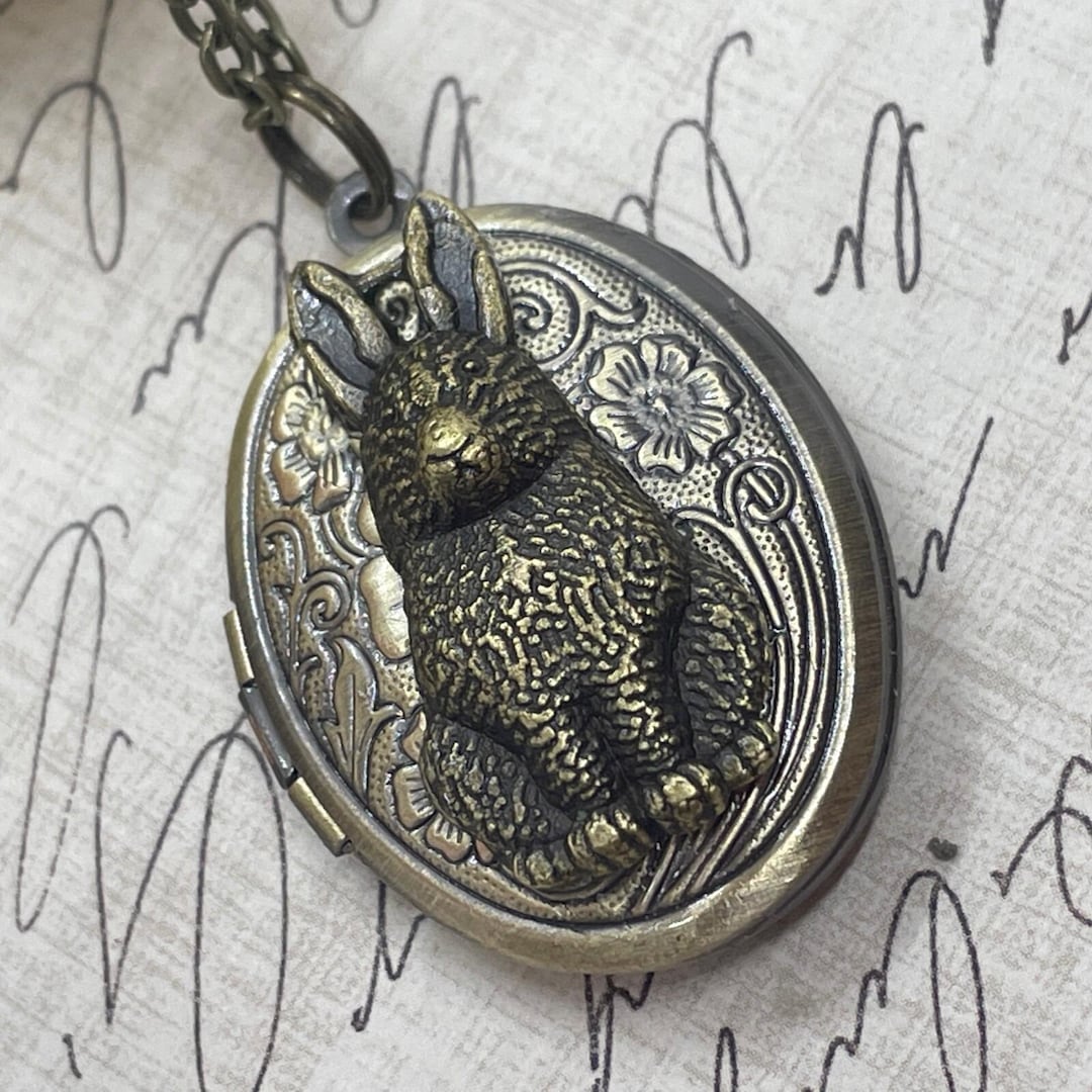 BUNNY RABBIT Locket Necklace Jewelry Pendant PHOTO Bronze Picture ...