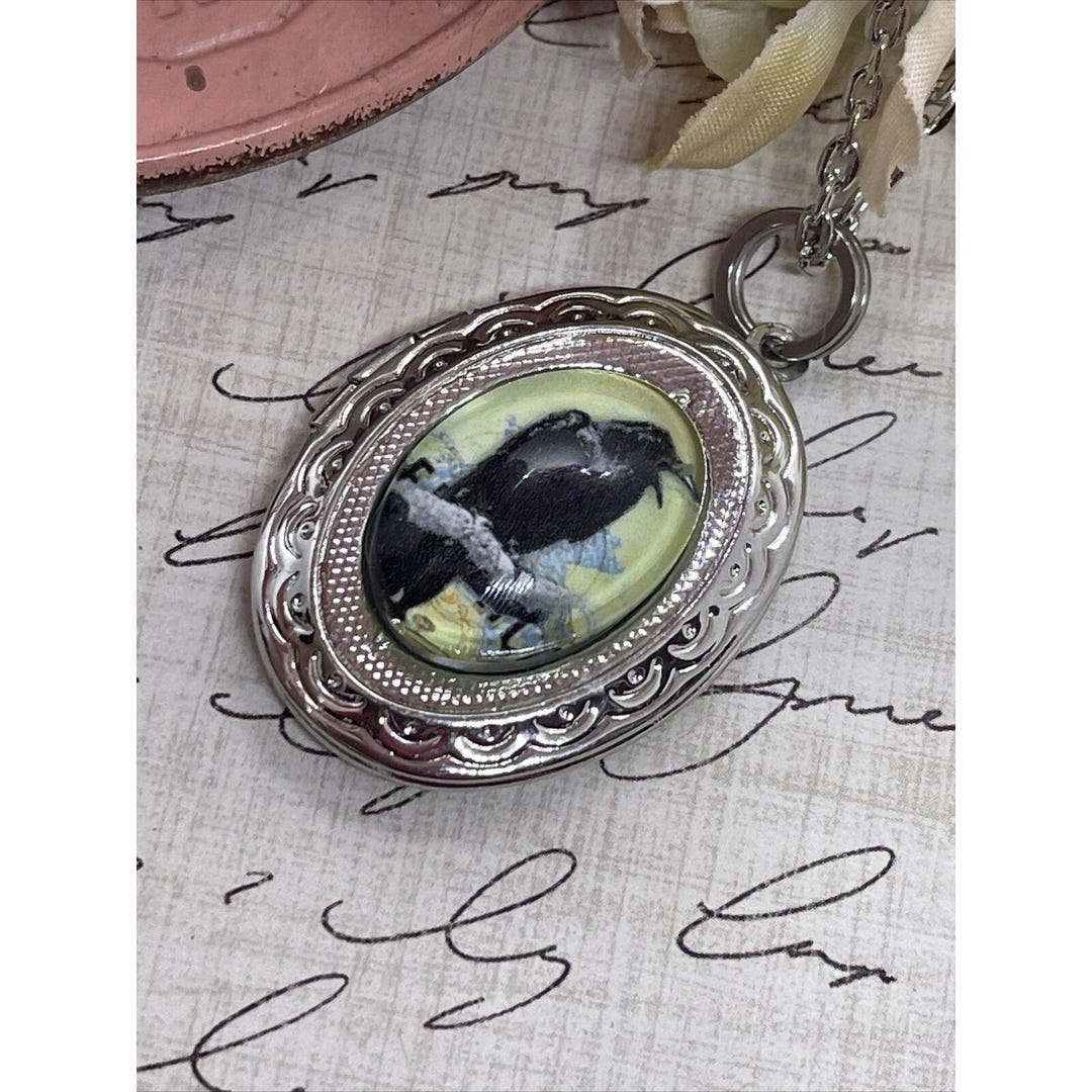 Silver Raven Black Crow Locket Necklace Pendant Gothic Festival Wedding ...
