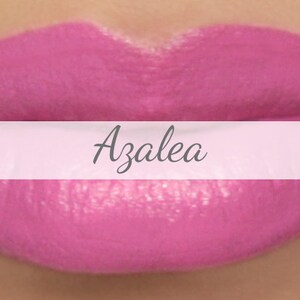 Vegan Pink Lipstick Sample - "azalea" Natural Lip Tint - Etsy