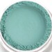 Matte Robin Egg Blue Eyeshadow robin's Egg - Etsy