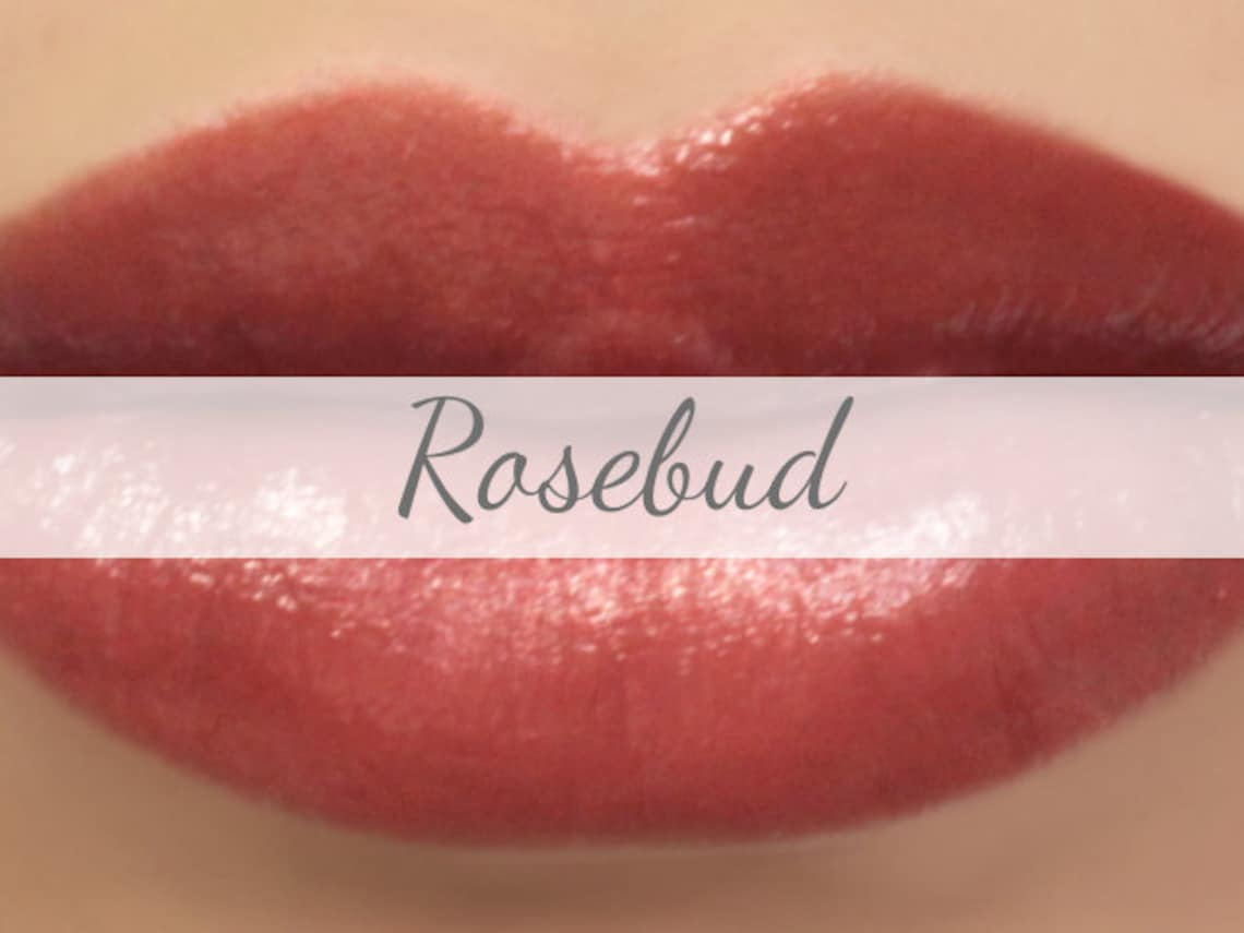 Sheer Lipstick Sample Rosebud natural red lip | Etsy