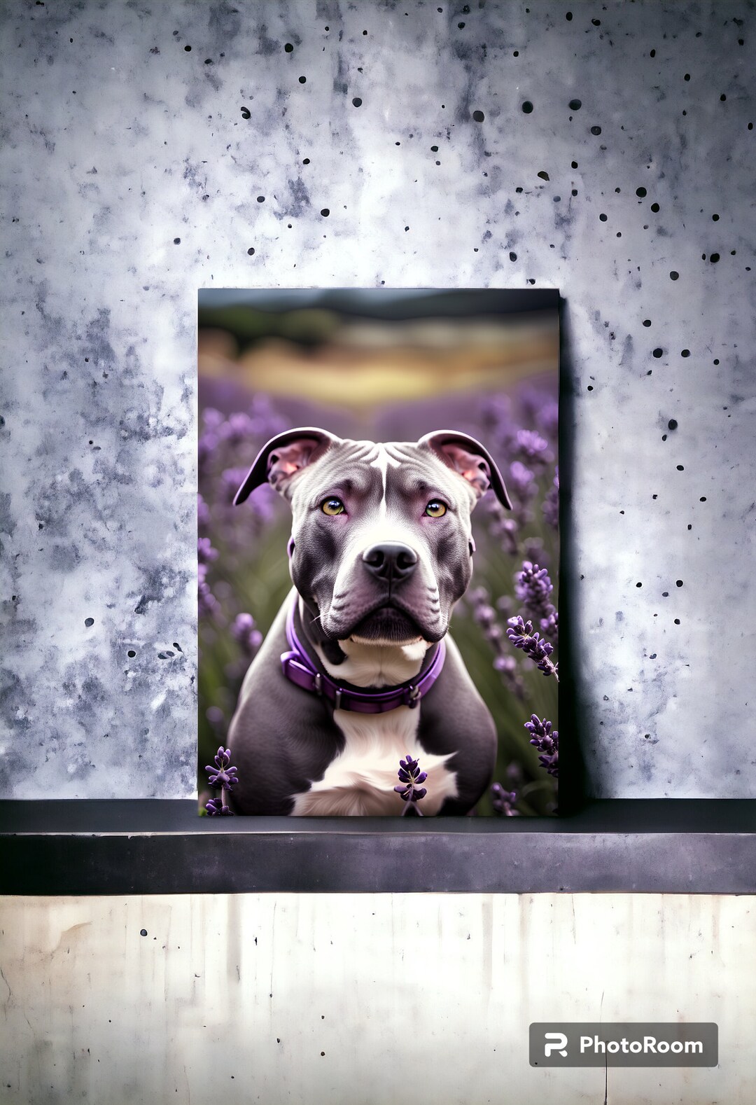 Acrylic Full Color Print- Pit Bull in Field - Etsy