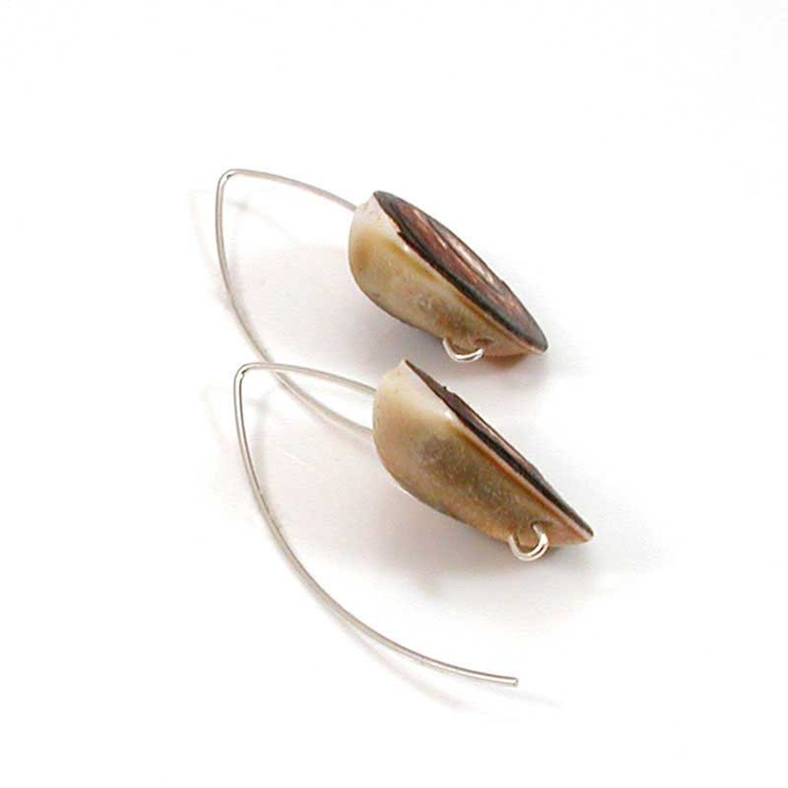 Snail Shell Earrings Minimalist Snail Shell Shiva Shell | Etsy