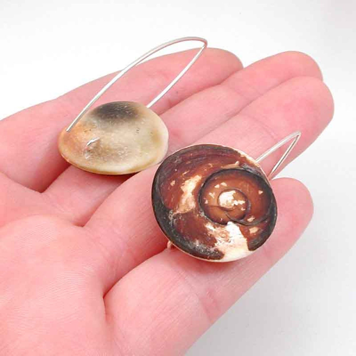 Snail Shell Earrings Minimalist Snail Shell Shiva Shell | Etsy