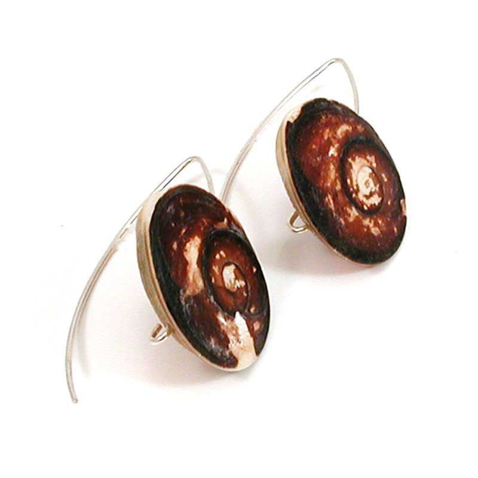Snail Shell Earrings Minimalist Snail Shell Shiva Shell - Etsy