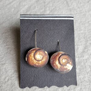Snail Shell Earrings Minimalist Snail Shell Shiva Shell Dangle Turban ...