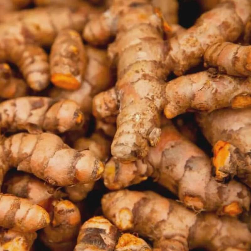 Fresh Turmeric - Etsy Israel
